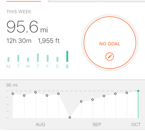How to Guide: Visualization for Runners • Tina Muir